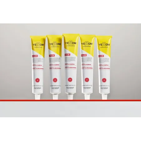 YELLOW PROFESSIONAL COLOR PERMANENT 10 - Farba do włosów 100M